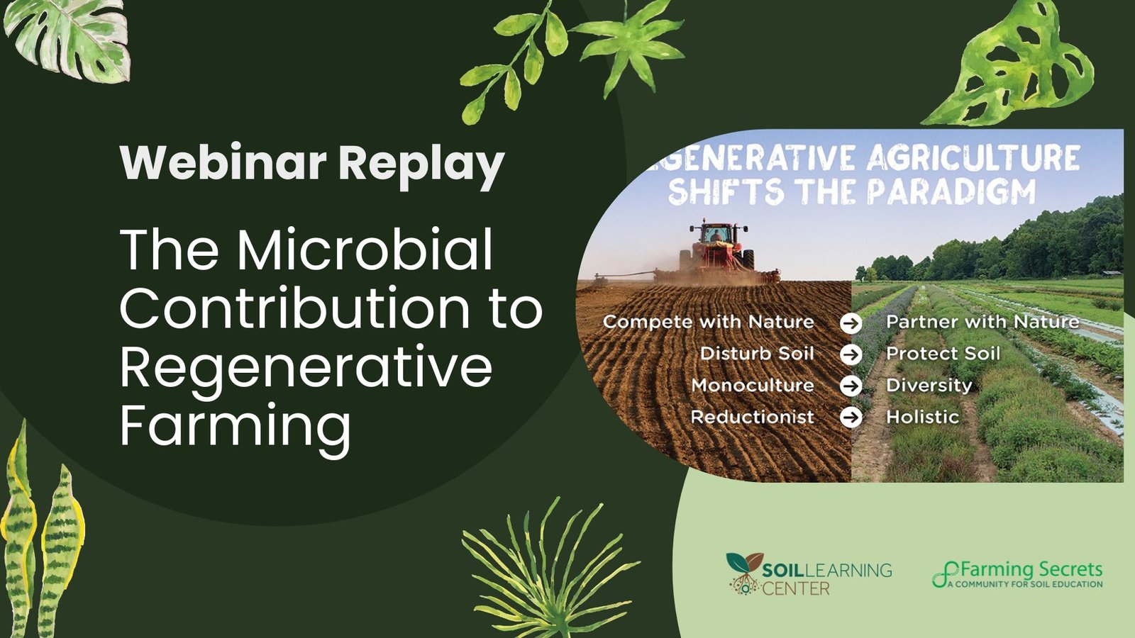 The Microbial Contribution to Regenerative Farming - Soil Learning Center